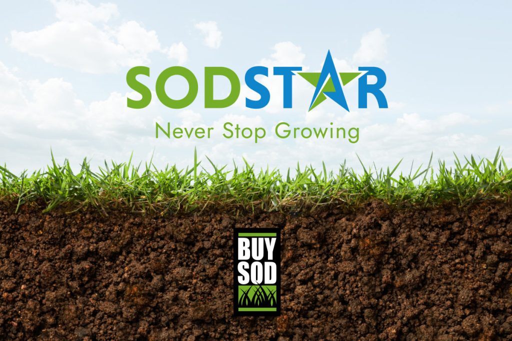 Our Brand: SodStar | SodStarPRO