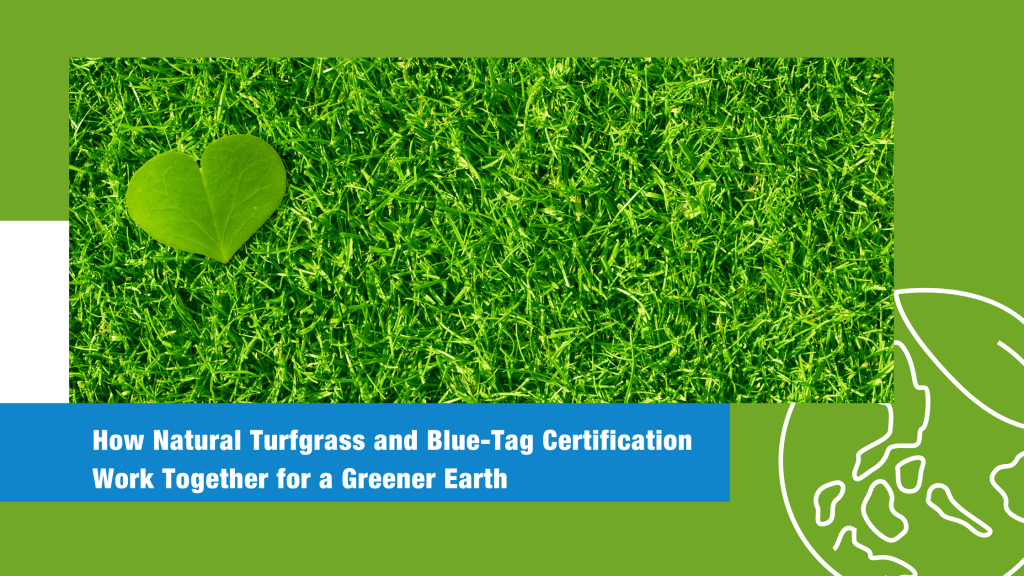 How Natural Turfgrass and Blue-Tag Certification Work Together for a ...